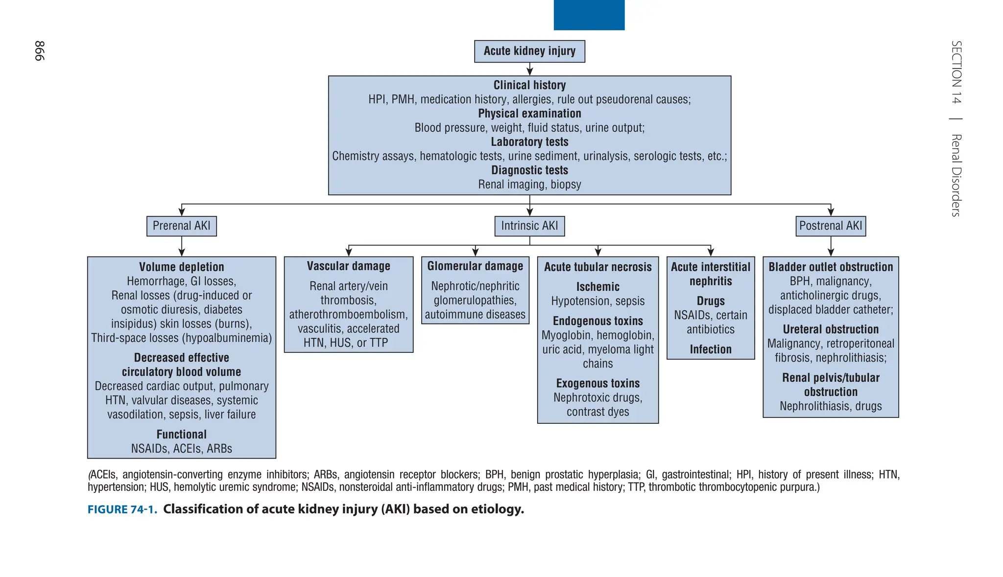 AKI- Pharmacotherapy Handbook 2021 .pdf