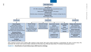 AKI- Pharmacotherapy Handbook 2021 .pdf
