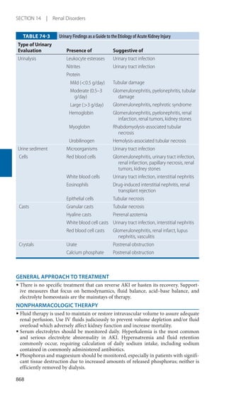 AKI- Pharmacotherapy Handbook 2021 .pdf