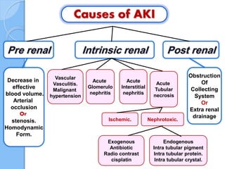Aki sudan 2017 (1) | PPT