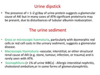 AKI - Approach | PPTX | Blood Disorders | Diseases and Conditions
