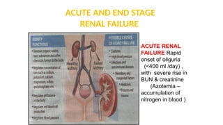 Acute Kidney Injury and Chronic Kidney Disease.pptx