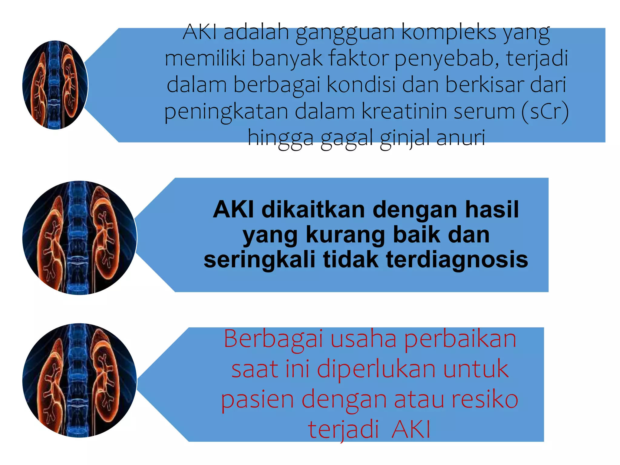 AKI A New term and Classification (Indonesia). diklat ppt.ppt