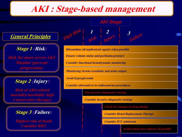 Aki an overview | PPT