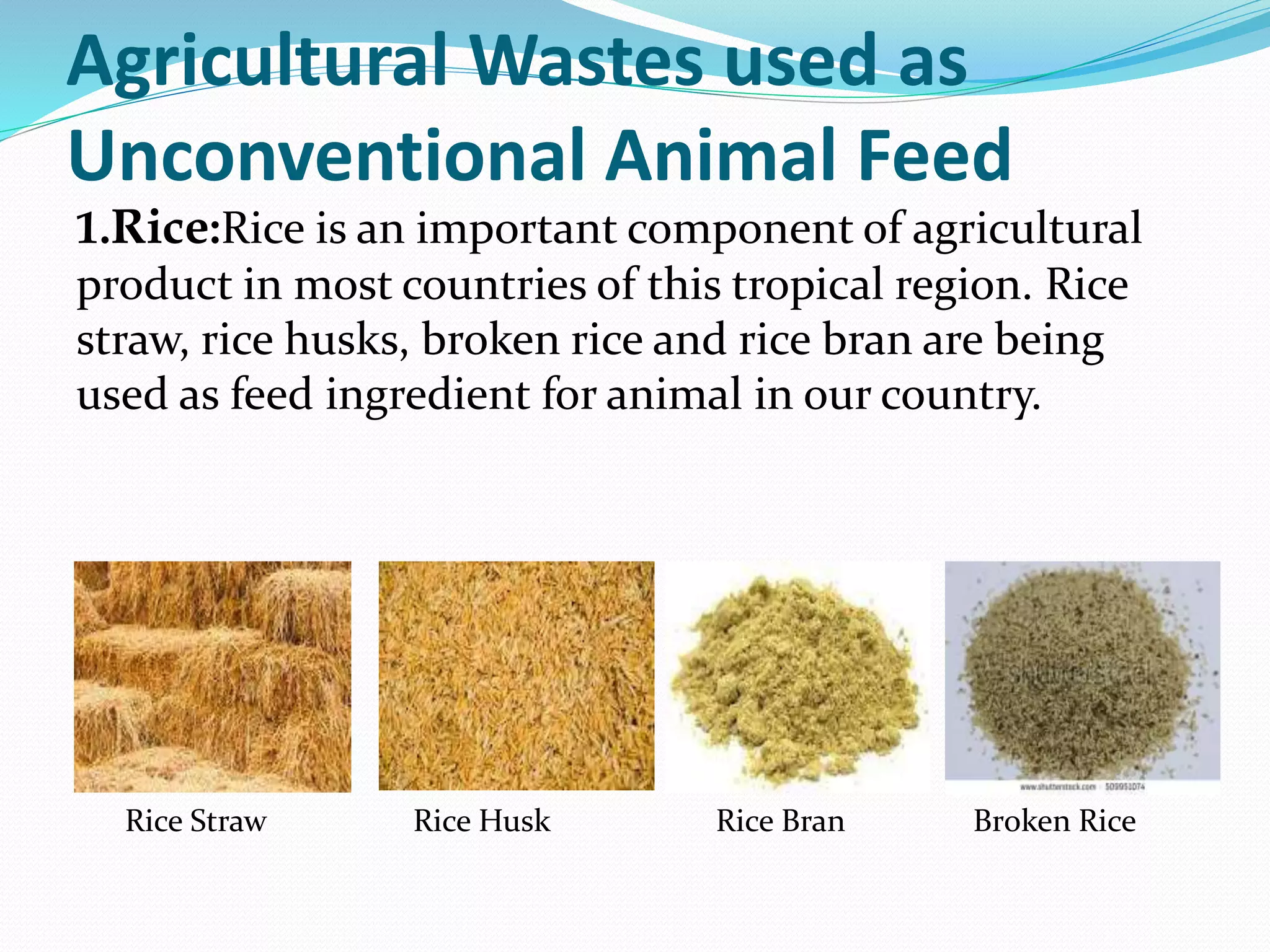 Agricultural Waste as non-conventional Animal Feed- Akib Sumon | PPTX