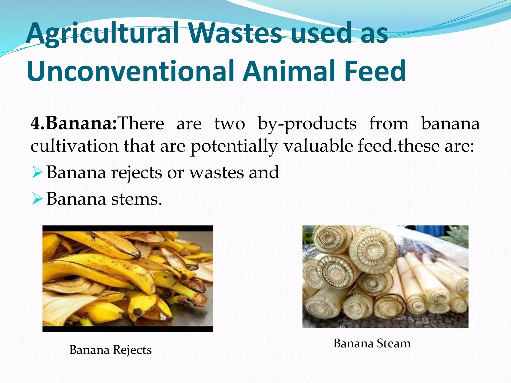 Agricultural Waste as non-conventional Animal Feed- Akib Sumon | PPTX