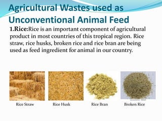 Agricultural Waste as non-conventional Animal Feed- Akib Sumon | PPTX