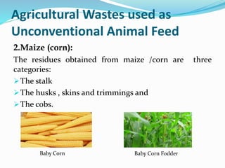 Agricultural Waste as non-conventional Animal Feed- Akib Sumon | PPTX
