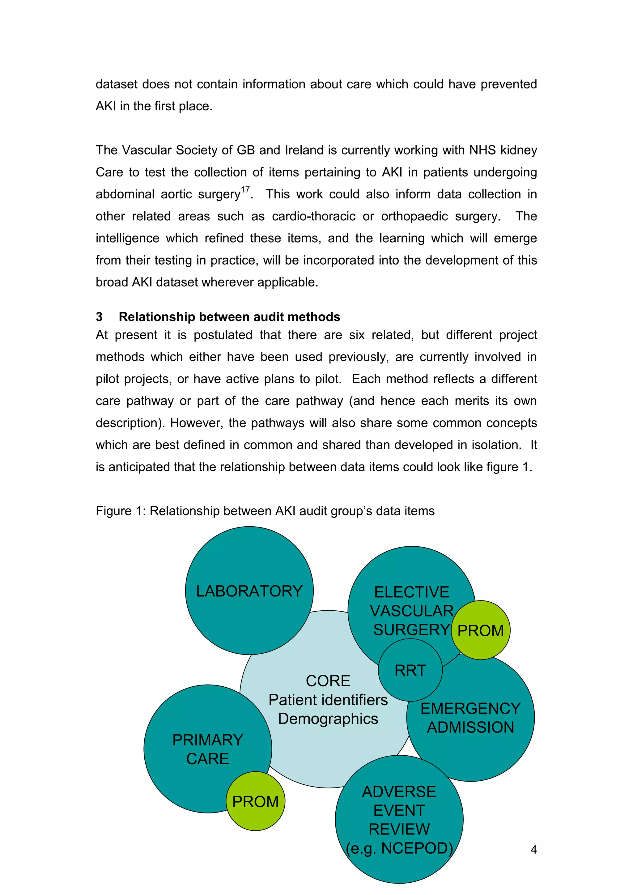 Acute Kidney Injury (AKI) Clinical Audit Tools 2011 | PDF