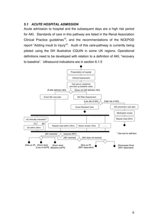 Acute Kidney Injury (AKI) Clinical Audit Tools 2011 | PDF