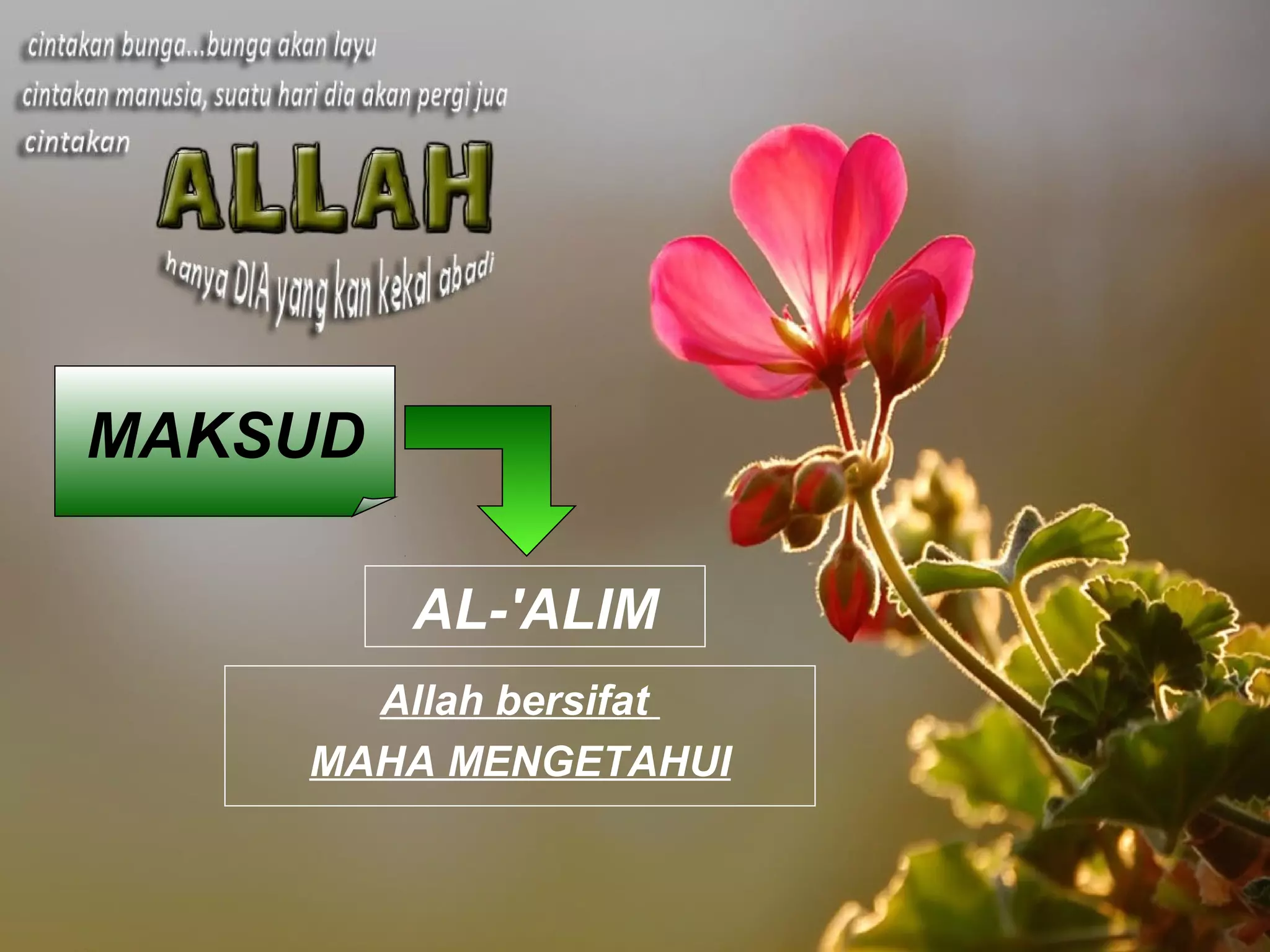 Akidah al alim | PPT