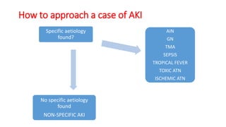 Acute Kidney Injury - Pediatric Perspective | PPTX