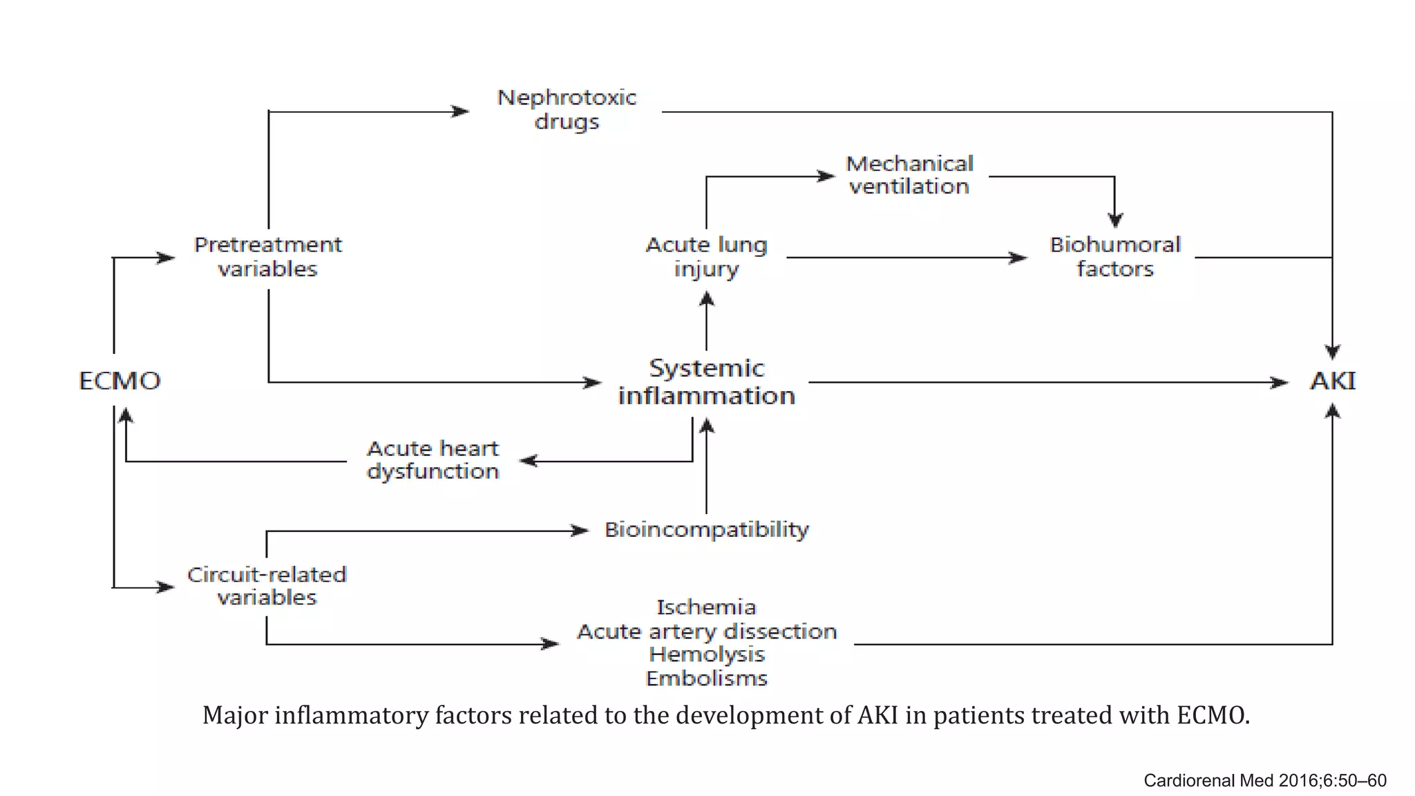 AKI IN ECMO THERAPY.pptx