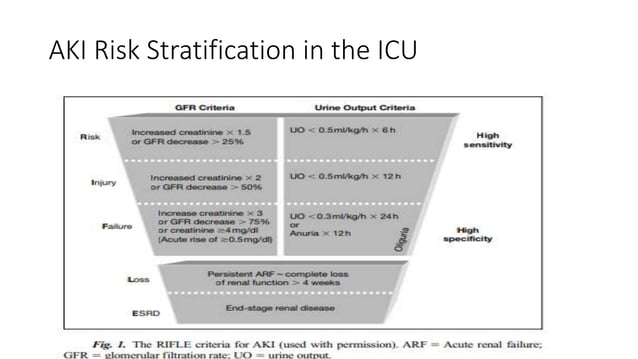 AKI Master.ppt acute kidney injury in icu | PPT
