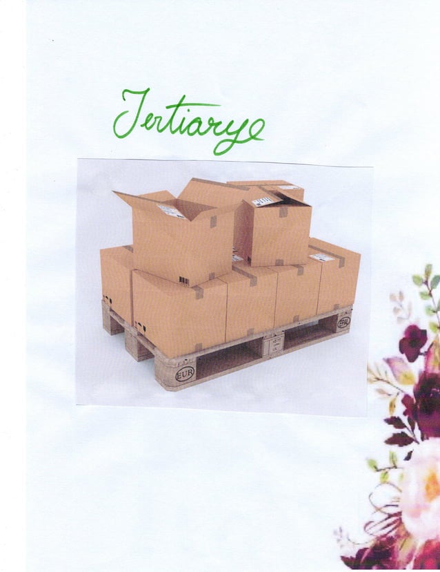 Class 12 business project on chocolate | PDF