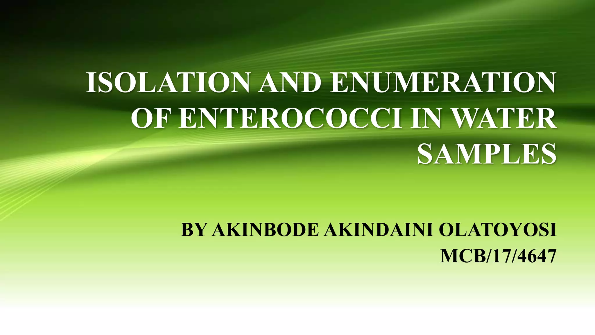 ISSOLATION AND ENUMERATION OF ENTEROCOCCI IN WATER SAMPLES | PPT