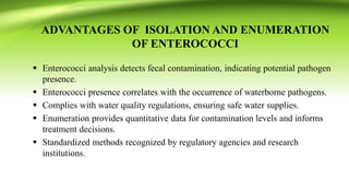 ISSOLATION AND ENUMERATION OF ENTEROCOCCI IN WATER SAMPLES | PPT