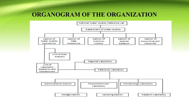 ISSOLATION AND ENUMERATION OF ENTEROCOCCI IN WATER SAMPLES | PPT