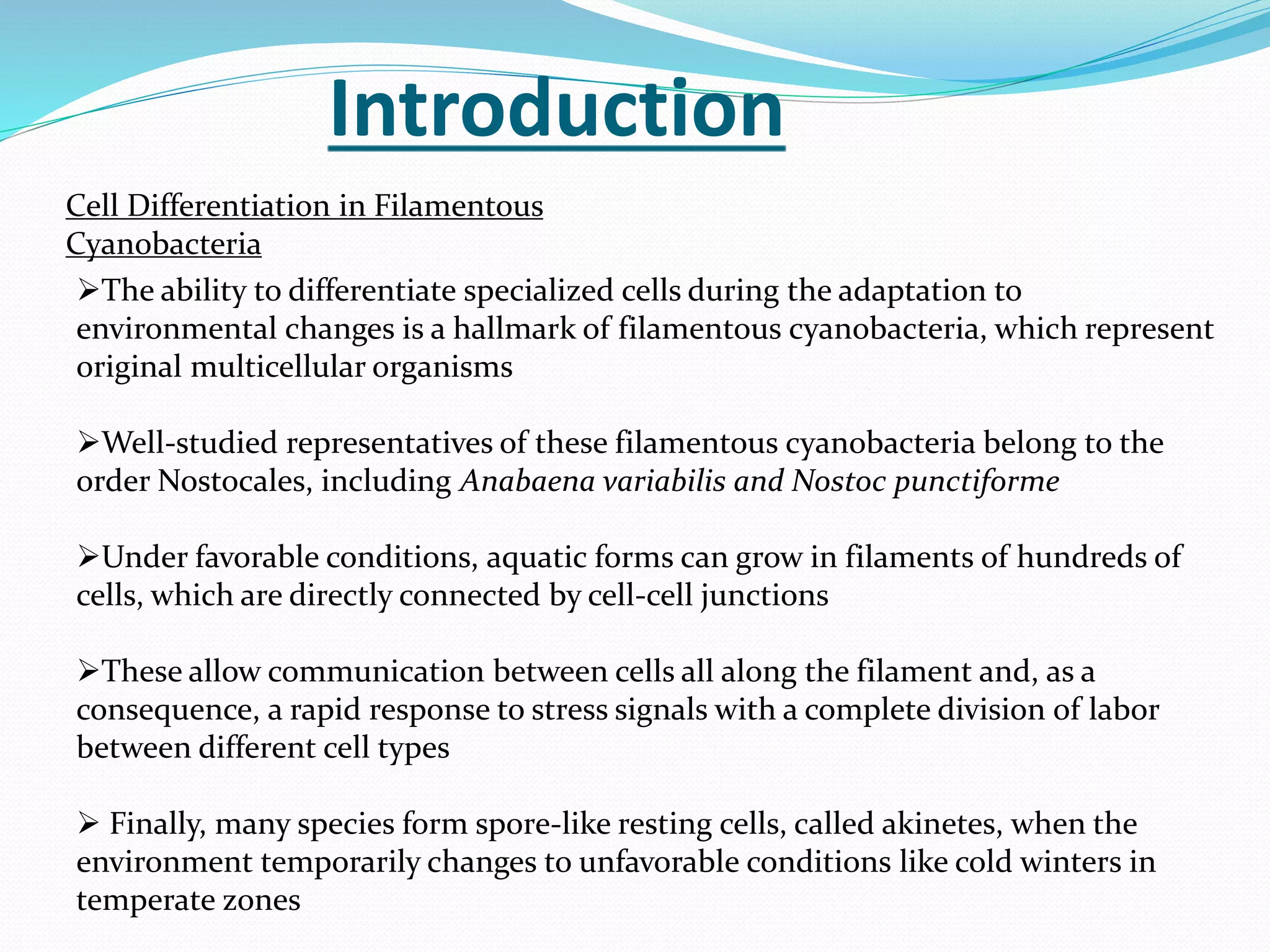 Akinetes and their role.pptx