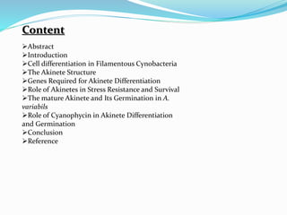 Akinetes and their role.pptx