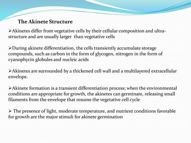 Akinetes and their role.pptx | Biological Sciences | Science