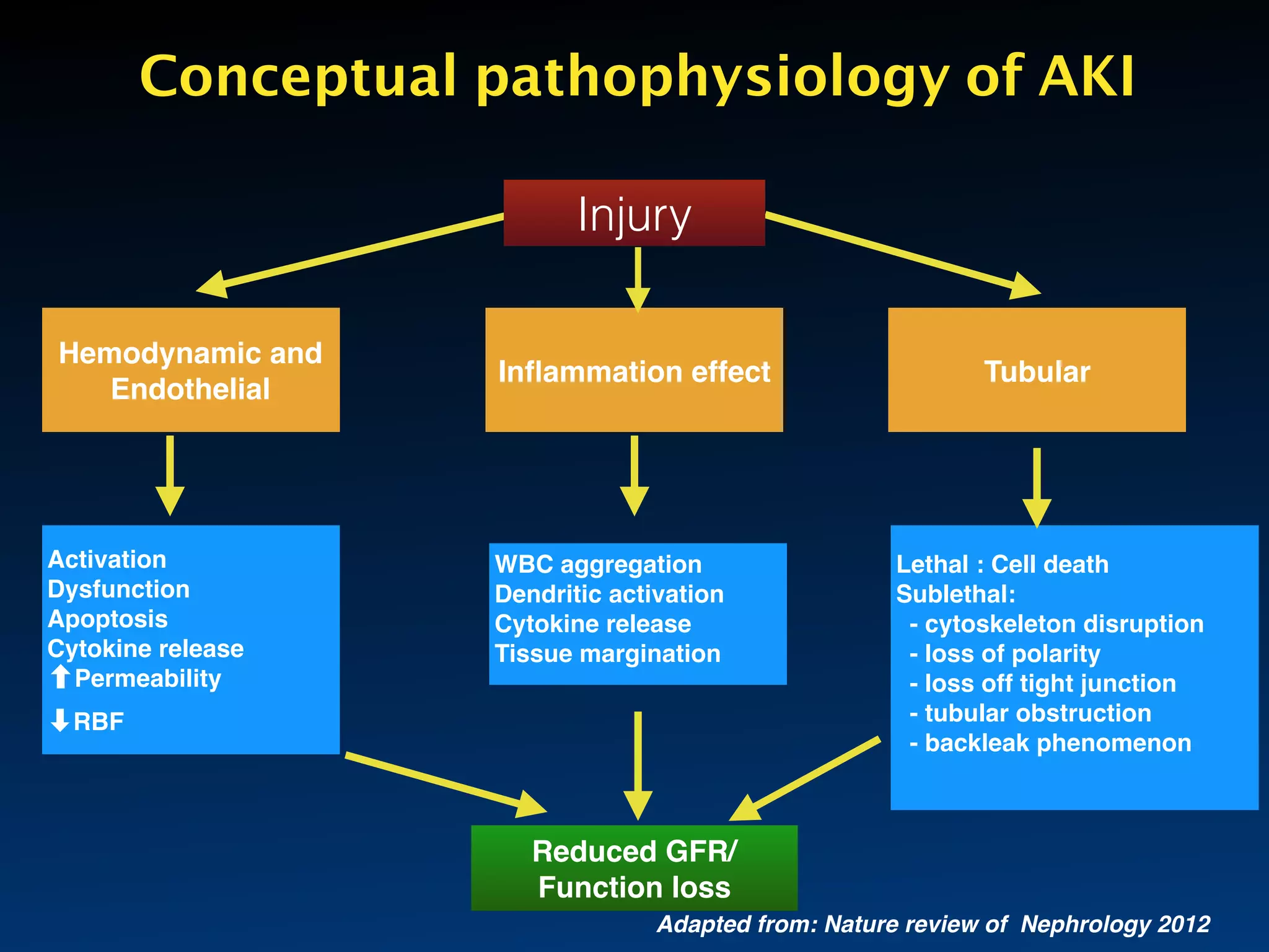AKI pathophysiology chaken maniyan | PDF