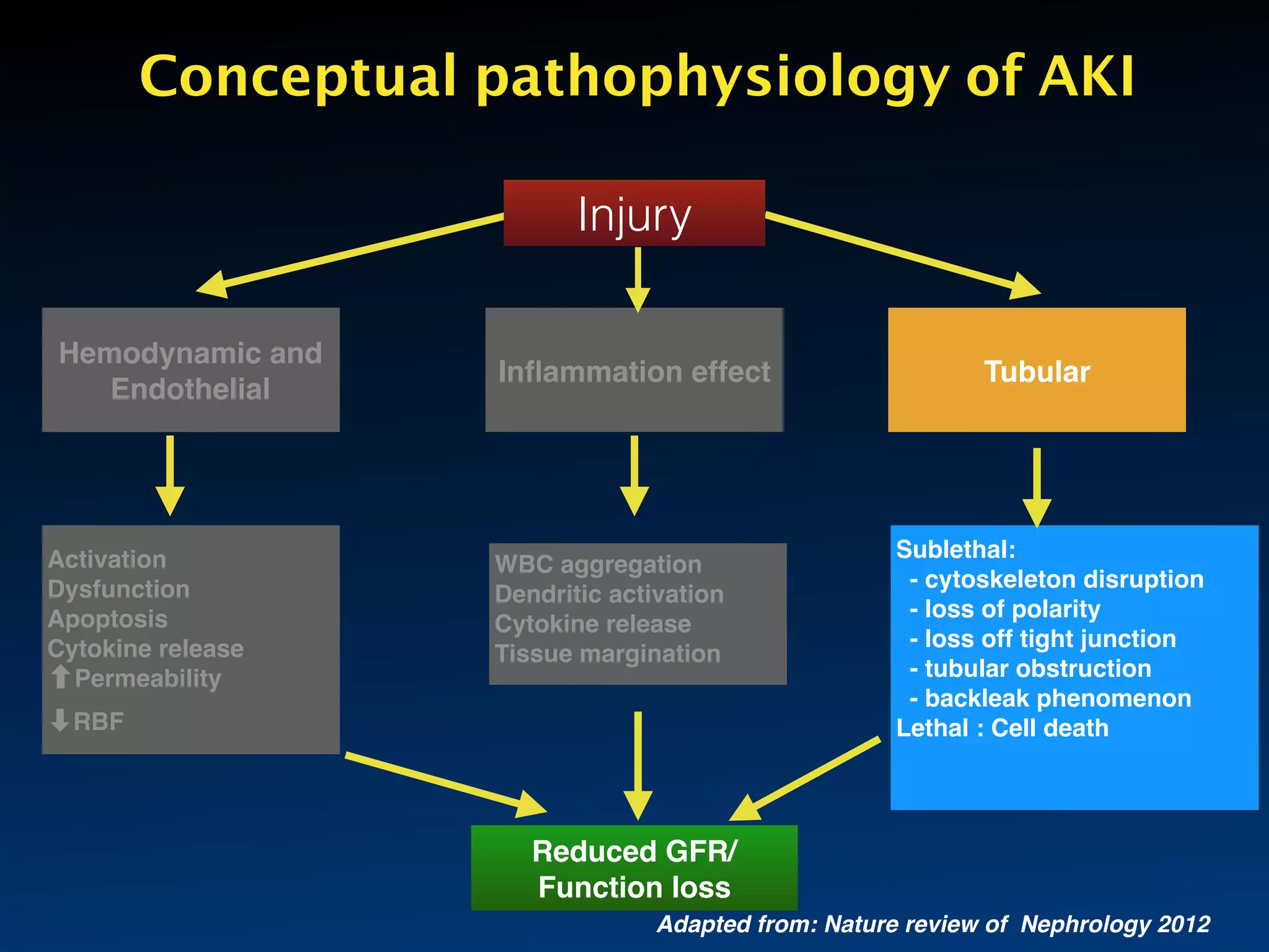 AKI pathophysiology chaken maniyan | PDF