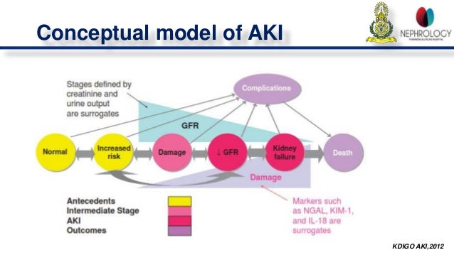 Aki Concept Map