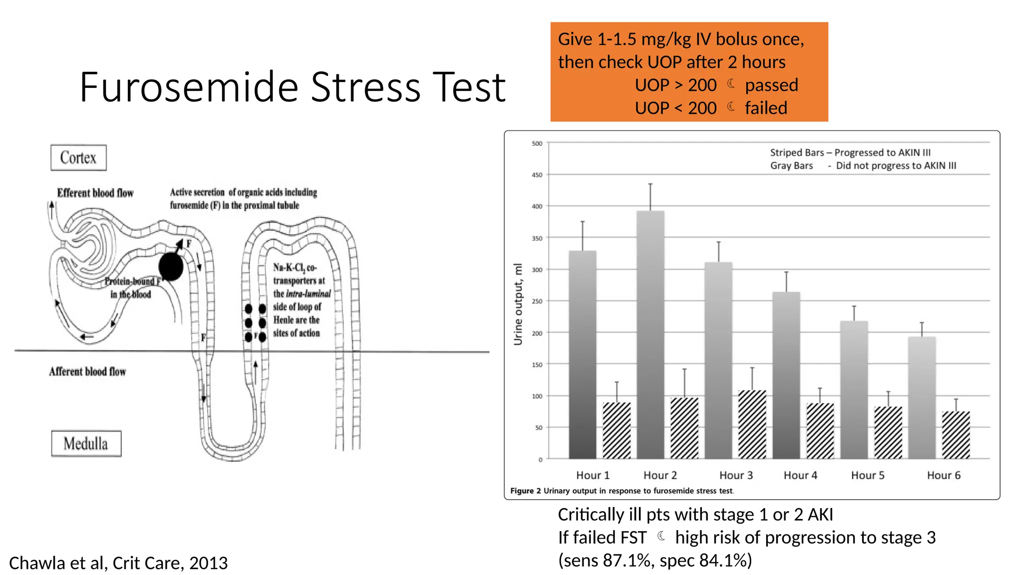 The Furosemide Stress Test for AKI | PPTX | Blood Disorders | Diseases ...
