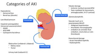 The Furosemide Stress Test for AKI | PPTX
