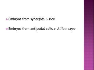 gynogenesis | PPTX | Infertility | Reproductive Health