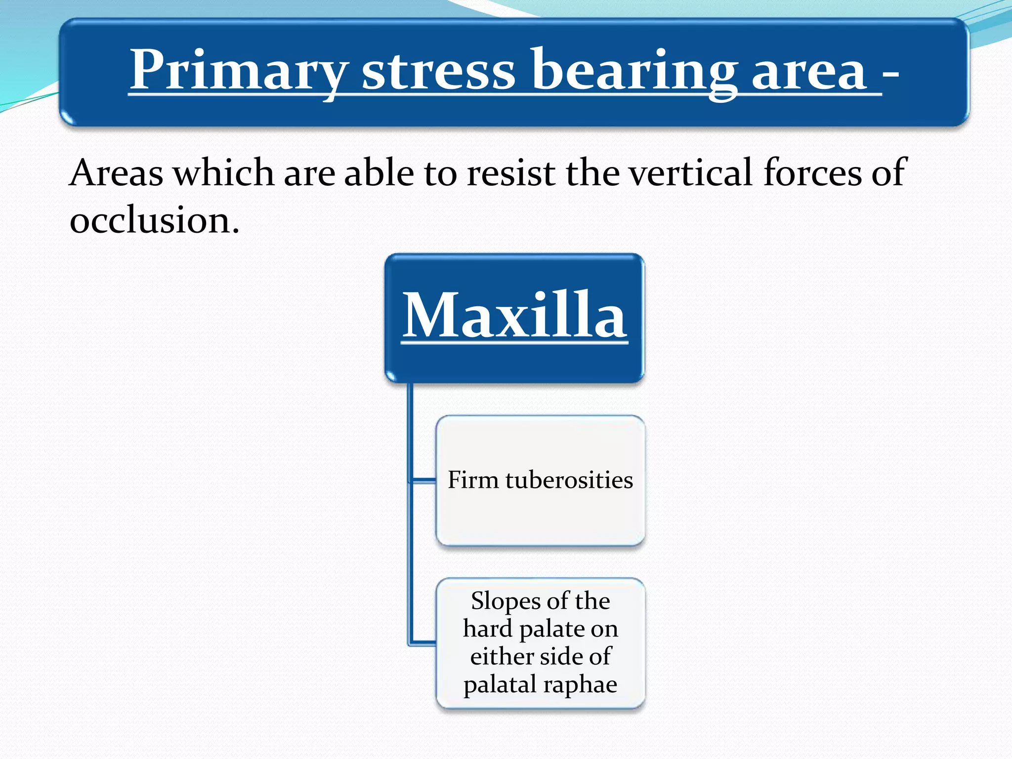 maxillary anatomical landmarks | PPTX