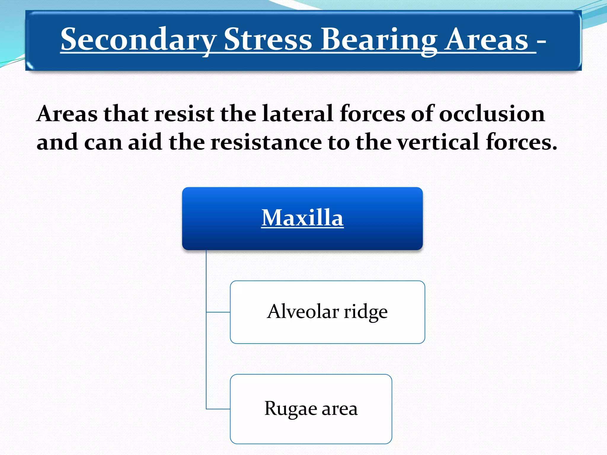 maxillary anatomical landmarks | PPTX