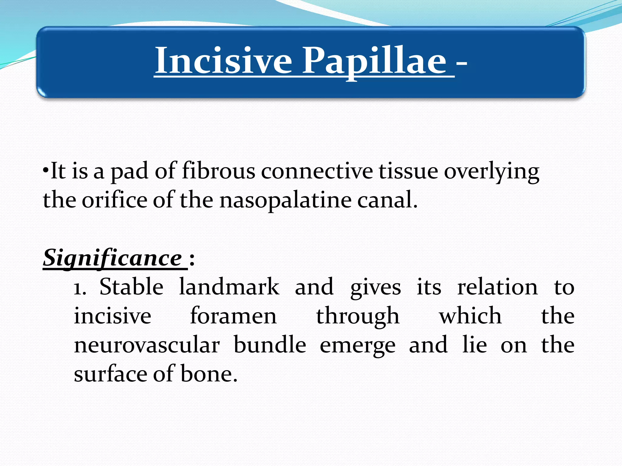maxillary anatomical landmarks | PPTX