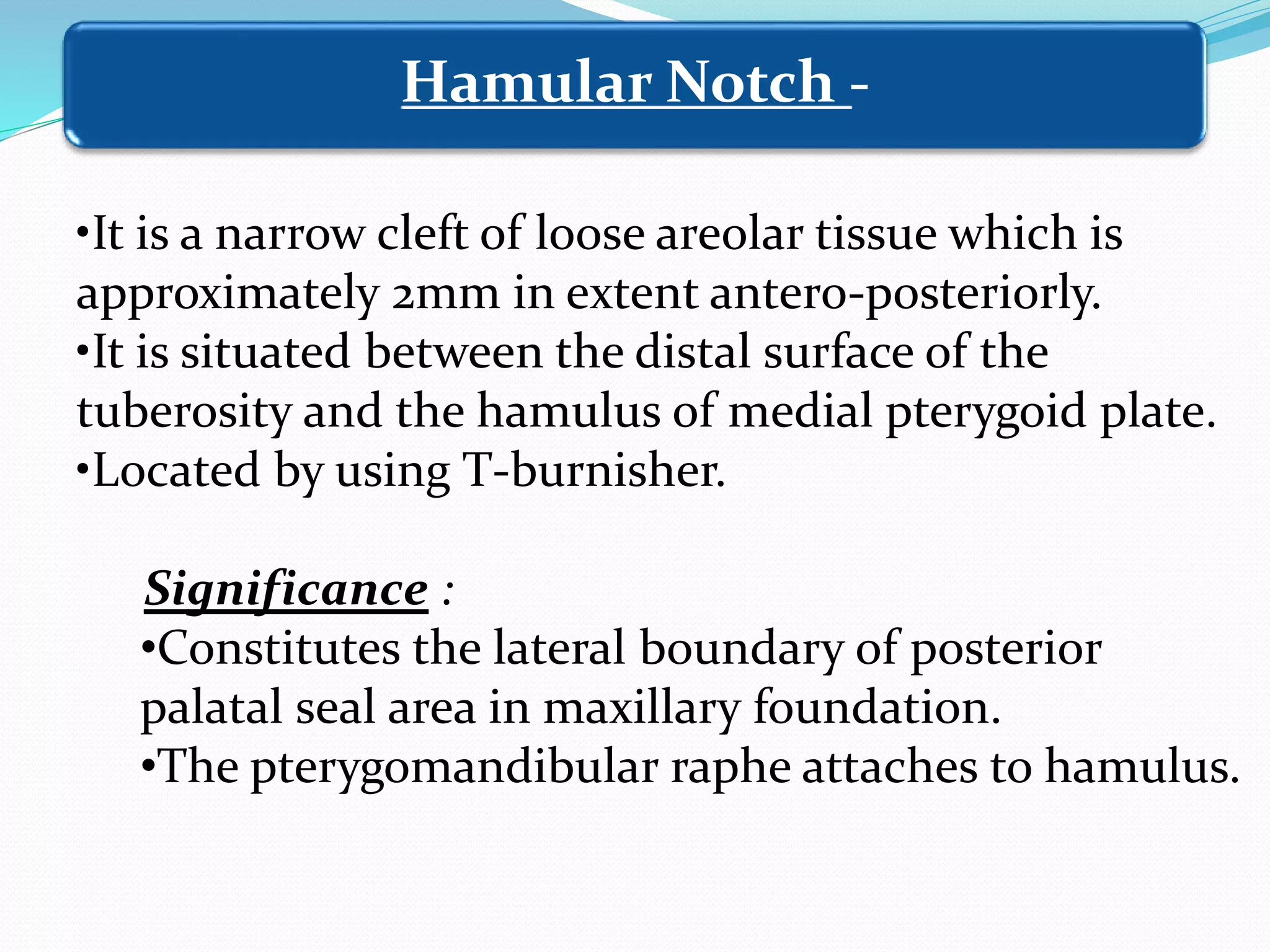 maxillary anatomical landmarks | PPTX