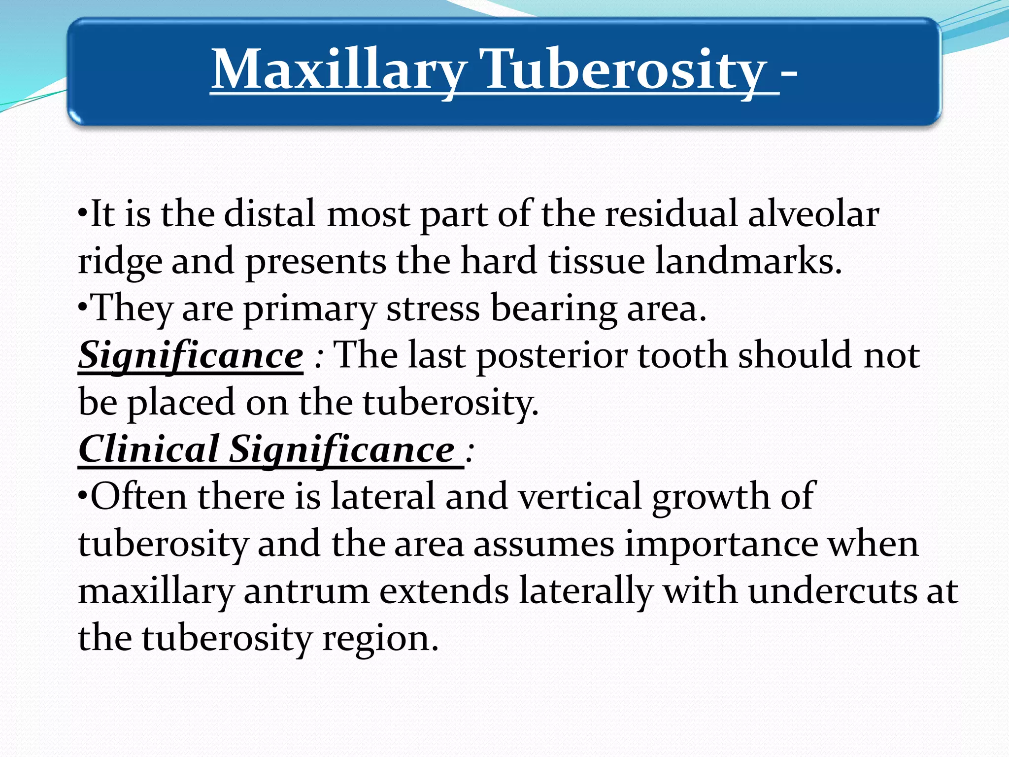 maxillary anatomical landmarks | PPTX