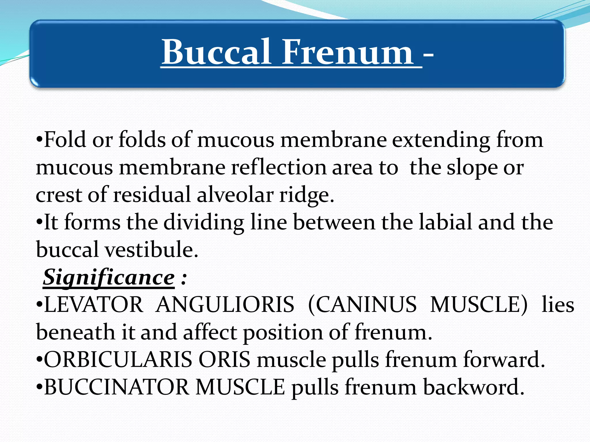 maxillary anatomical landmarks | PPTX