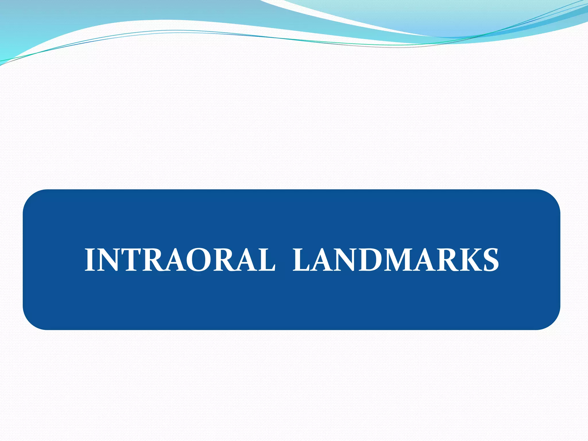 maxillary anatomical landmarks | PPTX