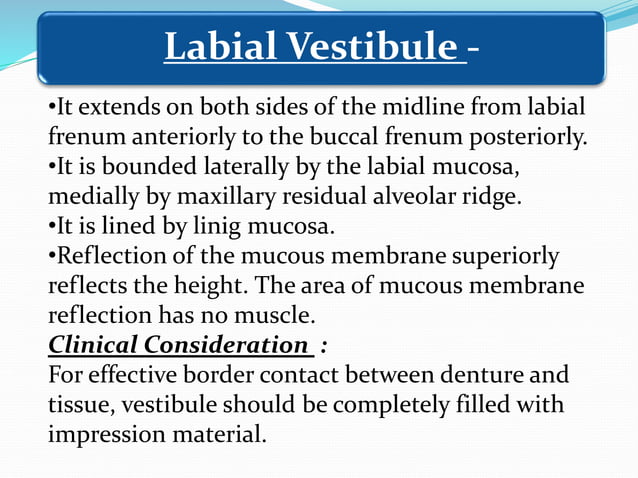 maxillary anatomical landmarks | PPTX