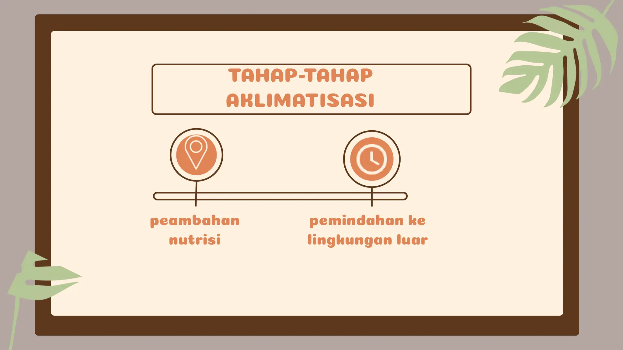 Aklimatisasi_kelompok dua mata kuliah kultur jaringan | PPTX