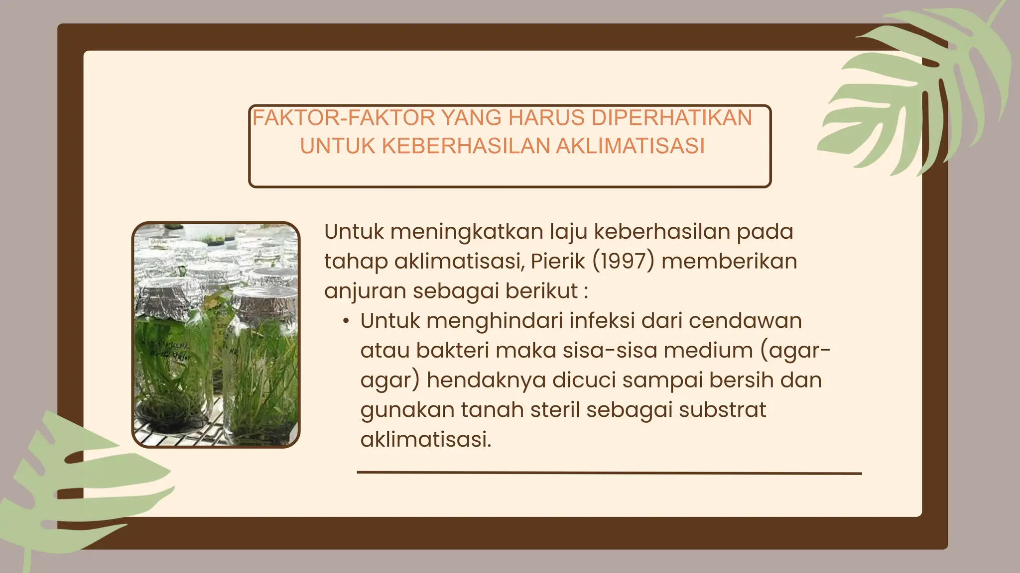 Aklimatisasi_kelompok dua mata kuliah kultur jaringan | PPTX