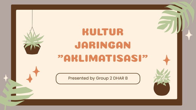Aklimatisasi_kelompok dua mata kuliah kultur jaringan | PPTX