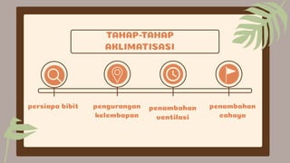 Aklimatisasi_kelompok dua mata kuliah kultur jaringan | PPTX