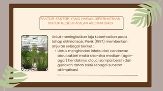 Aklimatisasi_kelompok dua mata kuliah kultur jaringan | PPTX