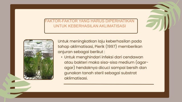 Aklimatisasi_kelompok dua mata kuliah kultur jaringan | PPTX