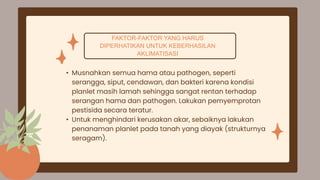 Aklimatisasi_kelompok dua mata kuliah kultur jaringan | PPTX