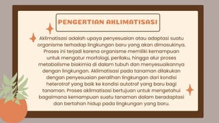 Aklimatisasi_kelompok dua mata kuliah kultur jaringan | PPTX