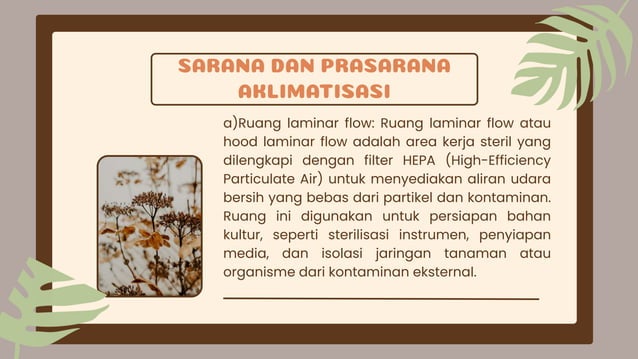 Aklimatisasi_kelompok dua mata kuliah kultur jaringan | PPTX