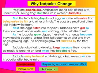ppt explanation text for students of senior high school | PPT