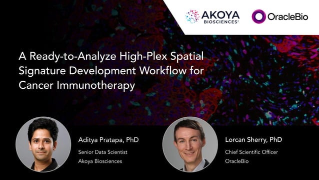 A Ready-to-Analyze High-Plex Spatial Signature Development Workflow for ...